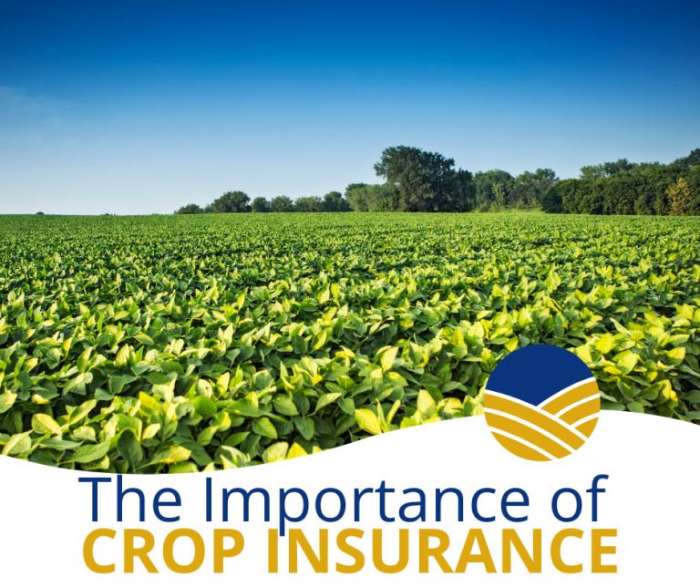 The Importance of Crop Insurance - Farmers Union Insurance