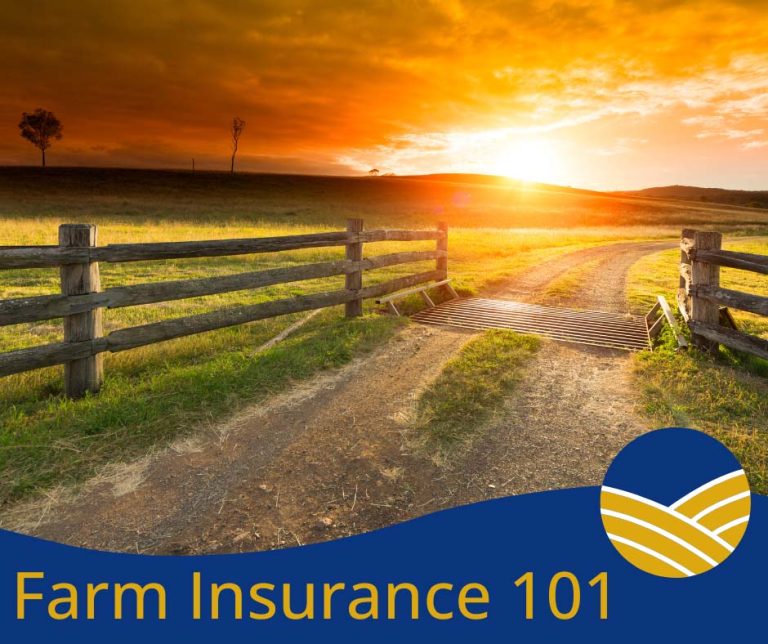 Blog - Farmers Union Insurance